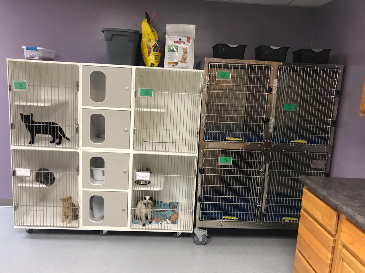 Boarding | Blue River Veterinary Clinic